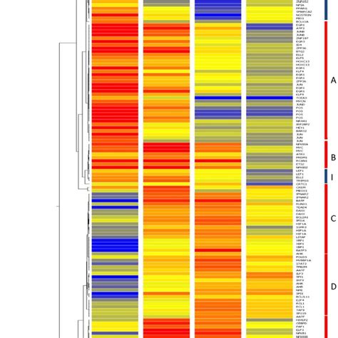 hierarchical clustering analysis of transcription factor genes