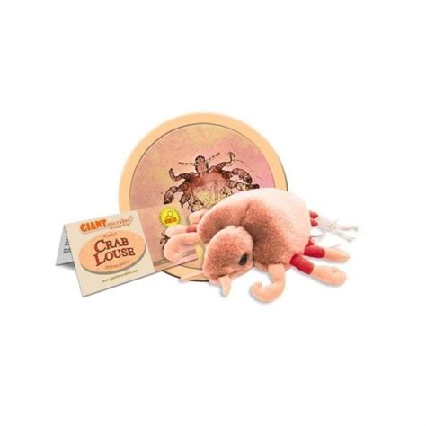 Microbe Giant Stuffed Toy Crab Louse
