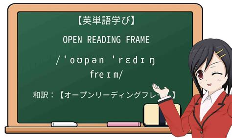 【英単語】open Reading Frameを徹底解説！意味、使い方、例文、読み方 おもしろい英文法