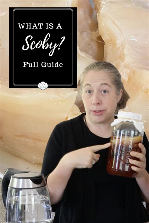 What Is A Scoby A Full Guide