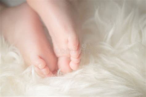 Босые ноги милого Newborn младенца в теплом белом одеяле Детство Малые
