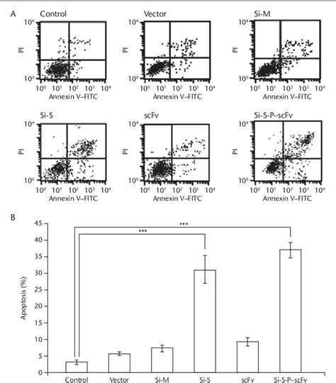 Figure 3 From Glioma Growth Inhibition In Vitro And In Vivo By Single