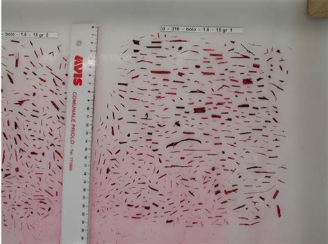 Redefining Forage Particle Size For Ruminants The Cattle Site