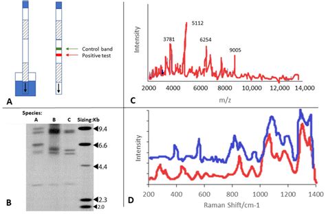 examples of outputs produced for organism molecular identification a