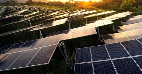 Adani Green Gets 600 Mw Wind Solar Hybrid Power Project From Seci