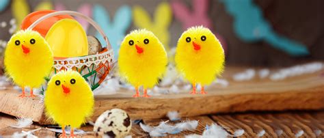 Tuparka Mini Easter Chicks Uk Home And Kitchen