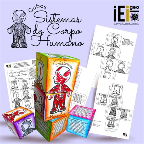 Cubos Dos Sistemas Do Corpo Humano Imprima Esta Ideia