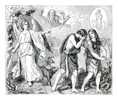 Drawing Of Adam And Eve Bible Illustrations Royalty Free Vector