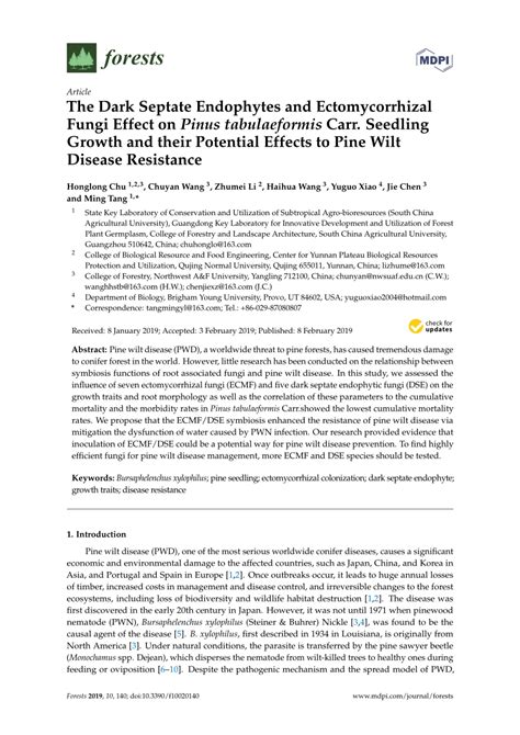 Pdf The Dark Septate Endophytes And Ectomycorrhizal Fungi Effect On