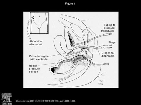 Volume Pages S S January Ppt Download