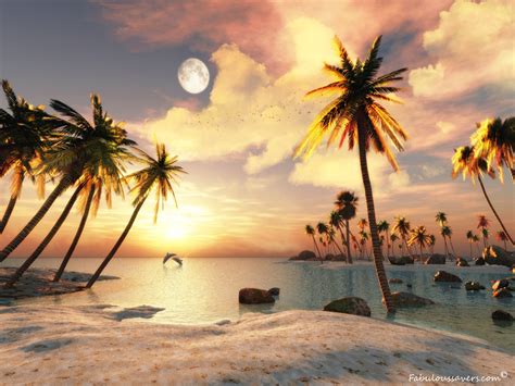 Beautiful D Wallpapers Wallpapersafari