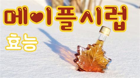 Maple Syrup 메이플시럽 다이어트 효과 L 모카 건강정보 Youtube