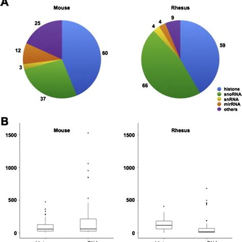 A Classification Of Polya− Transcripts In Mouse Left Panel And Download Scientific