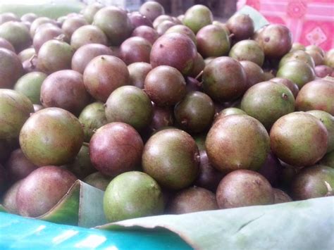 ក្រុមទេសចរខ្មែរ Khmer ក្រុមទេសចរខ្មែរ Khmer Tourist