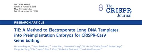前沿速递 电穿孔递送真的如此“万能”？ 知乎