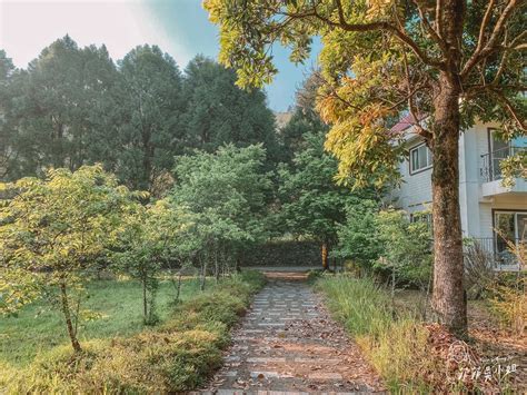 南投｜日月潭晶園渡假村：漫天螢光飛舞！入住氣派美式莊園裡，日月潭賞螢住宿推薦 輕旅行