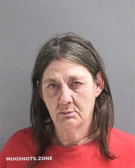Johnson Janice Lee 01302024 Volusia County Mugshots Zone