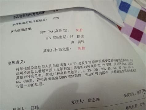 Hpv图片阳性 千图网