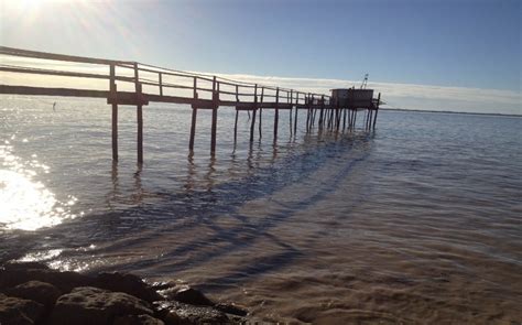 Charente Maritime Cycle Route Port Maubert To Vitzrey And The