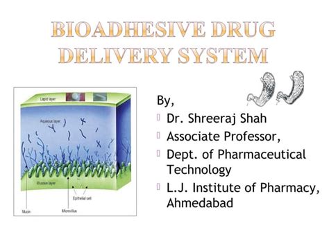 Mucosal Drug Delivery System Pptx