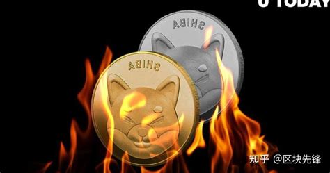Shib 烧钱率飙升 103，因为神秘钱包摧毁了 Shiba Inu 的巨额资金 知乎