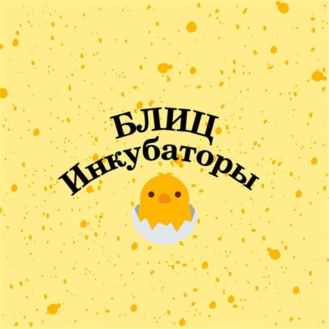 Производитель инкубаторов БЛИЦ и Матрица