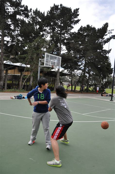 Wang Lab Molecular Engineering For Cellular Imaging And Reprogramming Ucsd