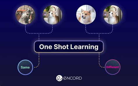 Understanding One Shot Learning In Deep Learning Genspark