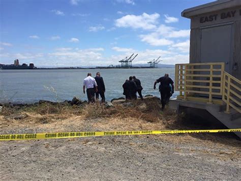 Headless Limbless Torso Discovered Below Bay Bridge In Oakland After