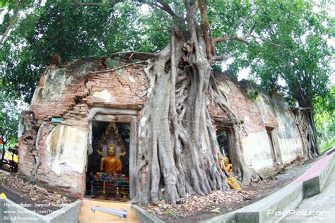 “วัดขุนอินทประมูล” เสน่ห์แห่งวัดพระนอนเมืองอ่างทอง Paapaii