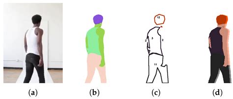 Lester Rotoscope Animation Through Video Object Segmentation And Tracking
