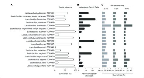 The Evaluation Of Probiotic Properties Of Lactic Acid Bacteria A The Download Scientific