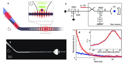 Strong Coupling Of A Trapped Atom To A Photonic Crystal Cavity A A Download Scientific