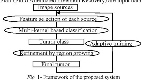 Figure 1 From Multi Kernel Svm Based Classification For Brain Tumor Segmentation Of Mri Multi