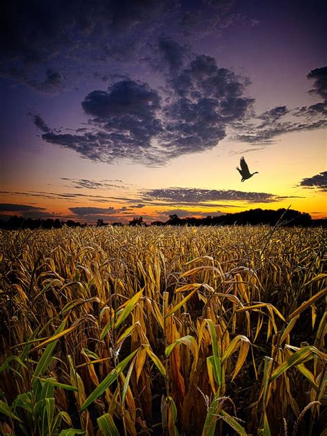 Understanding Depth Of Field In Landscape Photography Artofit