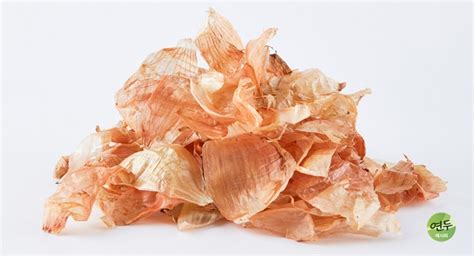 양파껍질의 변신 가다랑어 육수를 따로 만들 필요 없는 국수 레시피