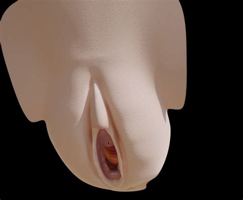 Sexe Anathomy Shape Key White Android And Ebony Texture 3d Model