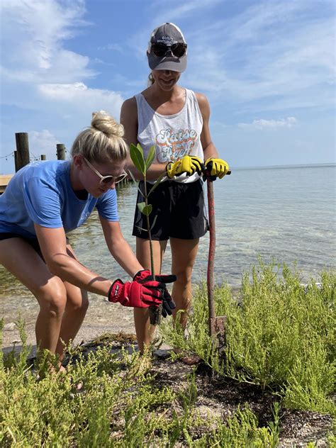 Coral Restoration Foundation™ On Linkedin Mang Coralcrew