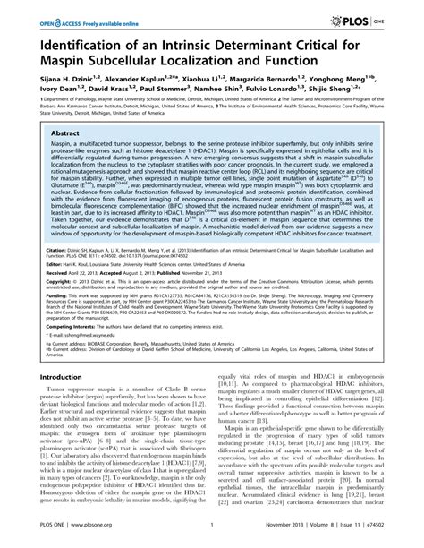 Pdf Identification Of An Intrinsic Determinant Critical For Maspin