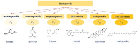 Modulation Of The Dipole Potential Of Model Lipid Membranes With Phytochemicals Molecular