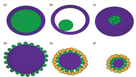 Figure 2 From Microfluidics For Core Shell Drug Carrier Particles A Review Semantic Scholar