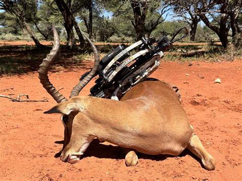 Our Review Burris Oracle X Crossbow Magazine