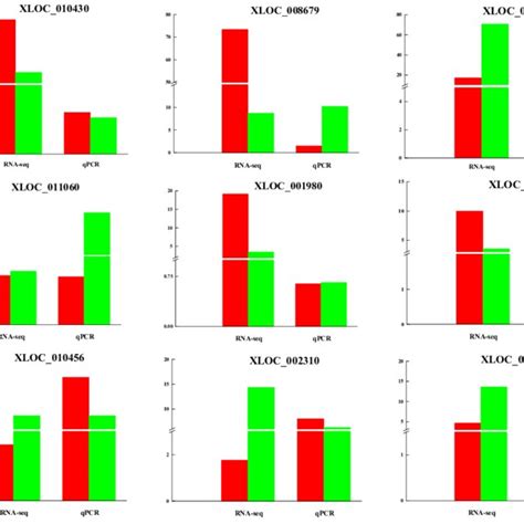 Qrt Pcr Validation Of Lncrnas Rna Sequencing Rna Seq Was Used In