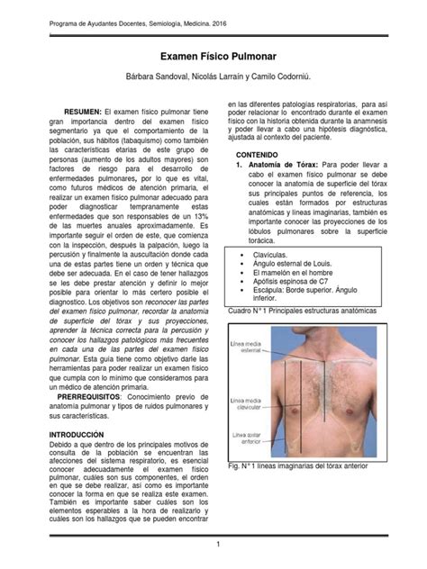 Examen Pulmonar Pdf Pulmón Medicina