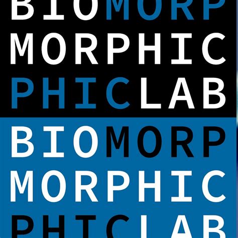 Biomorphic Intelligence Lab Youtube