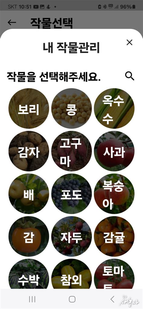 ‘농작물 병해충 인공지능ai 영상진단·처방 앱 서비스 대국민 서비스 전환