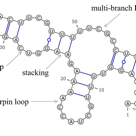 Pdf Rna Secondary Structure Prediction Using Deep Learning With