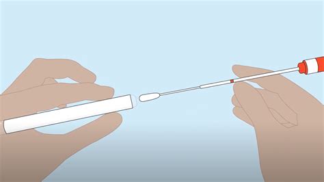 Hpv Self Test Kits To Be Given Out By Nhs What You Need To Know