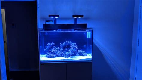 My First Tank Can T Wait For The Cycle To Finish R Reeftank