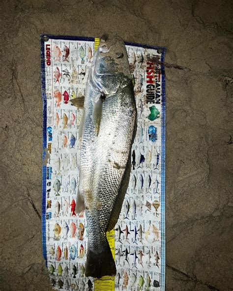 Ethan Luff Ethanluff10 • Instagram Photos And Videos